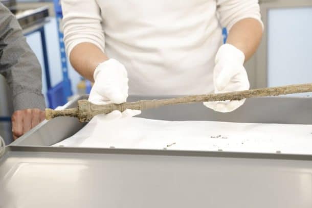 Une trompette découverte au Forum antique de Bavay - Histoire Magazine